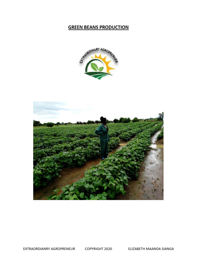 Green Beans Production Guide | PDF