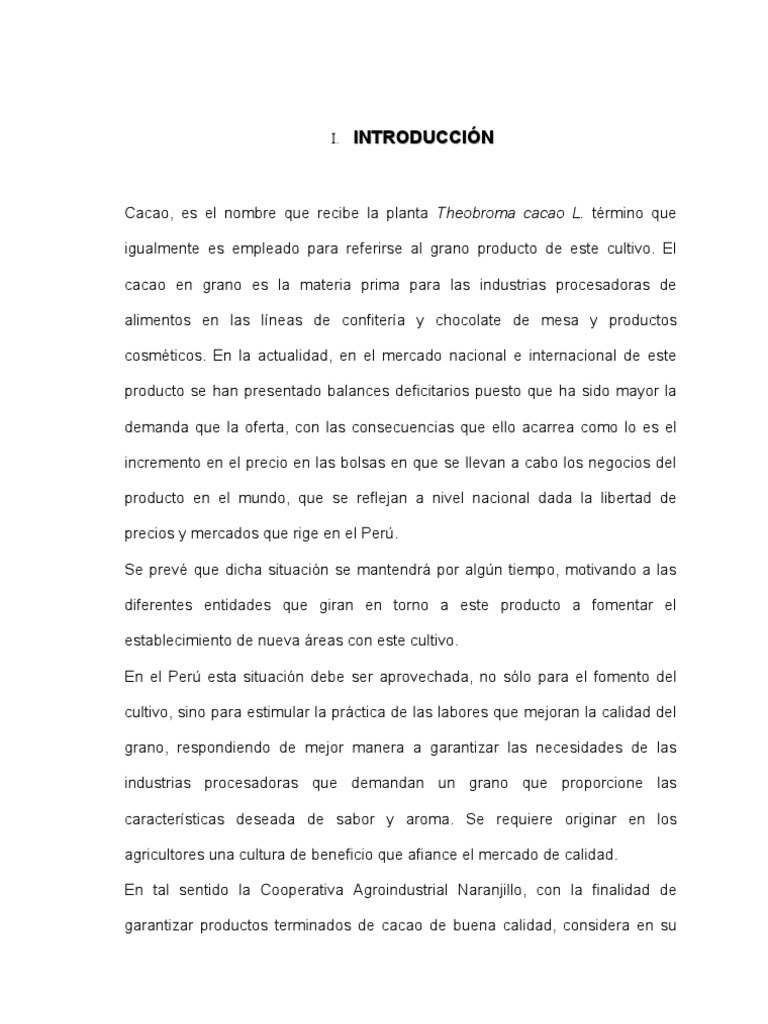 Informe Pract. Candy Final | PDF | Agronegocios | Chocolate