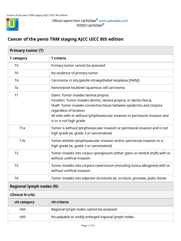 Cancer of The Penis TNM Staging AJCC UICC 8th Edition | PDF
