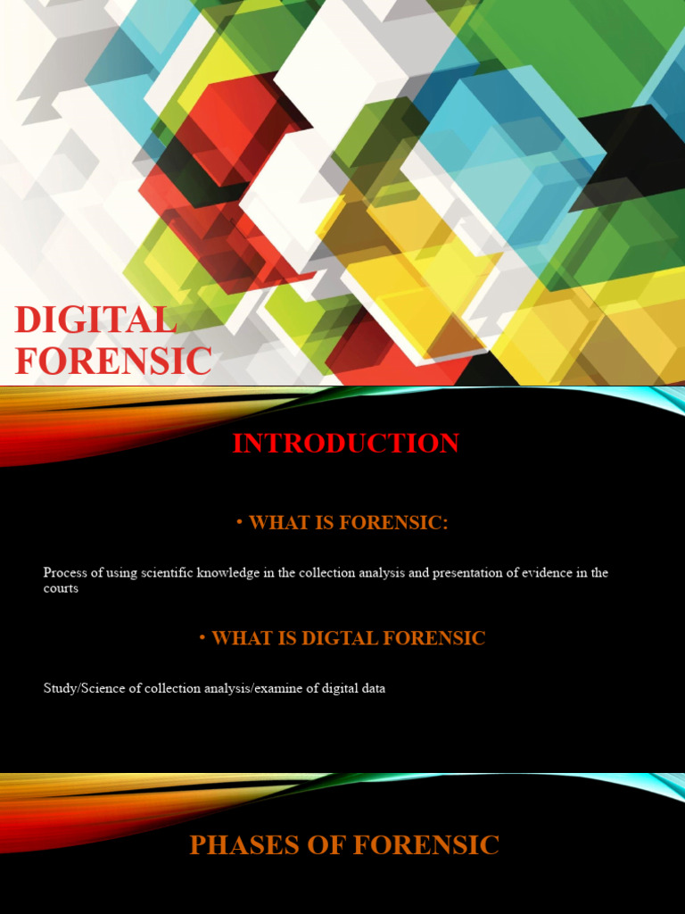 Digital Forensic | PDF