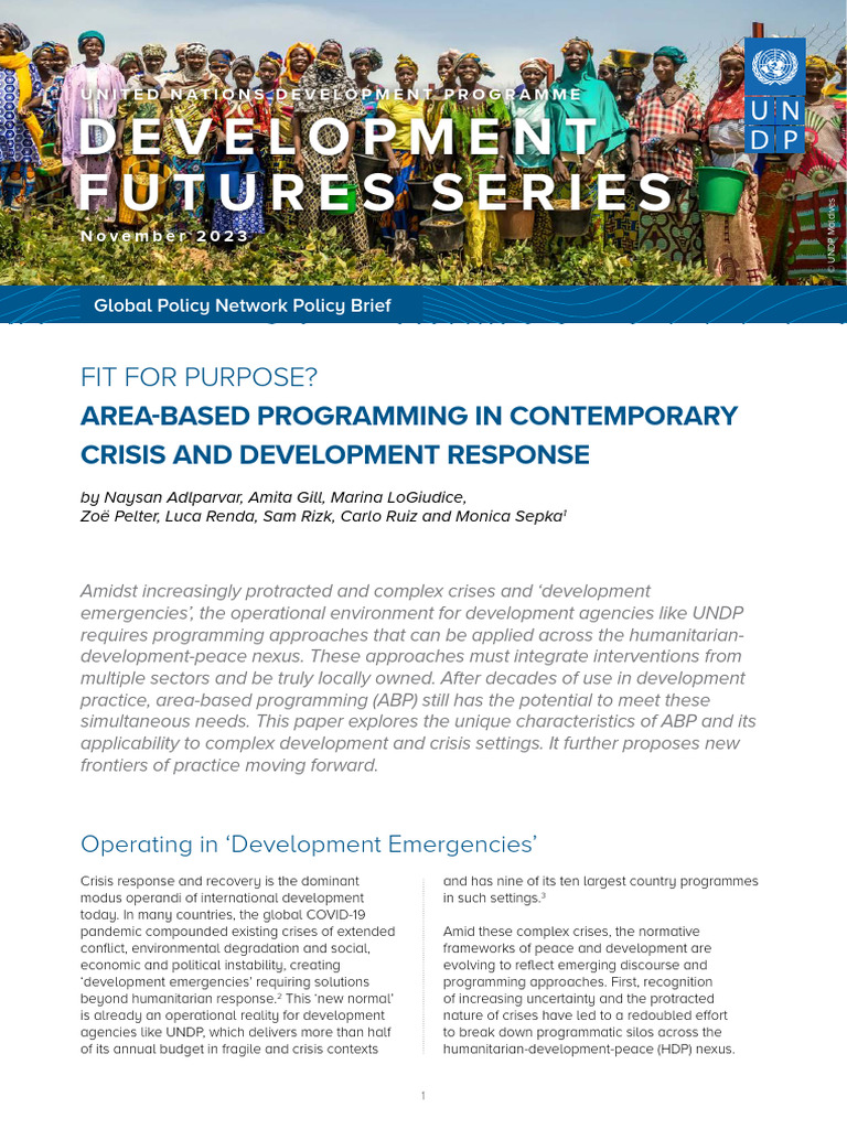 1 Undp DFS Abp | PDF