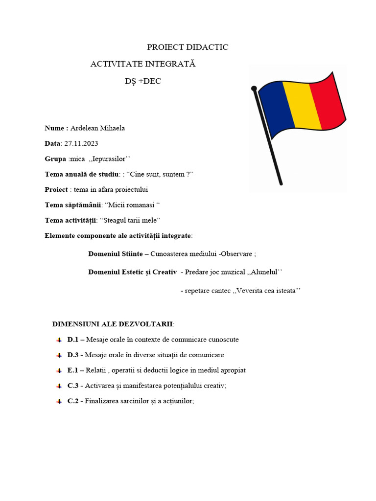 PROIECT - Steagul Tarii Mele | PDF