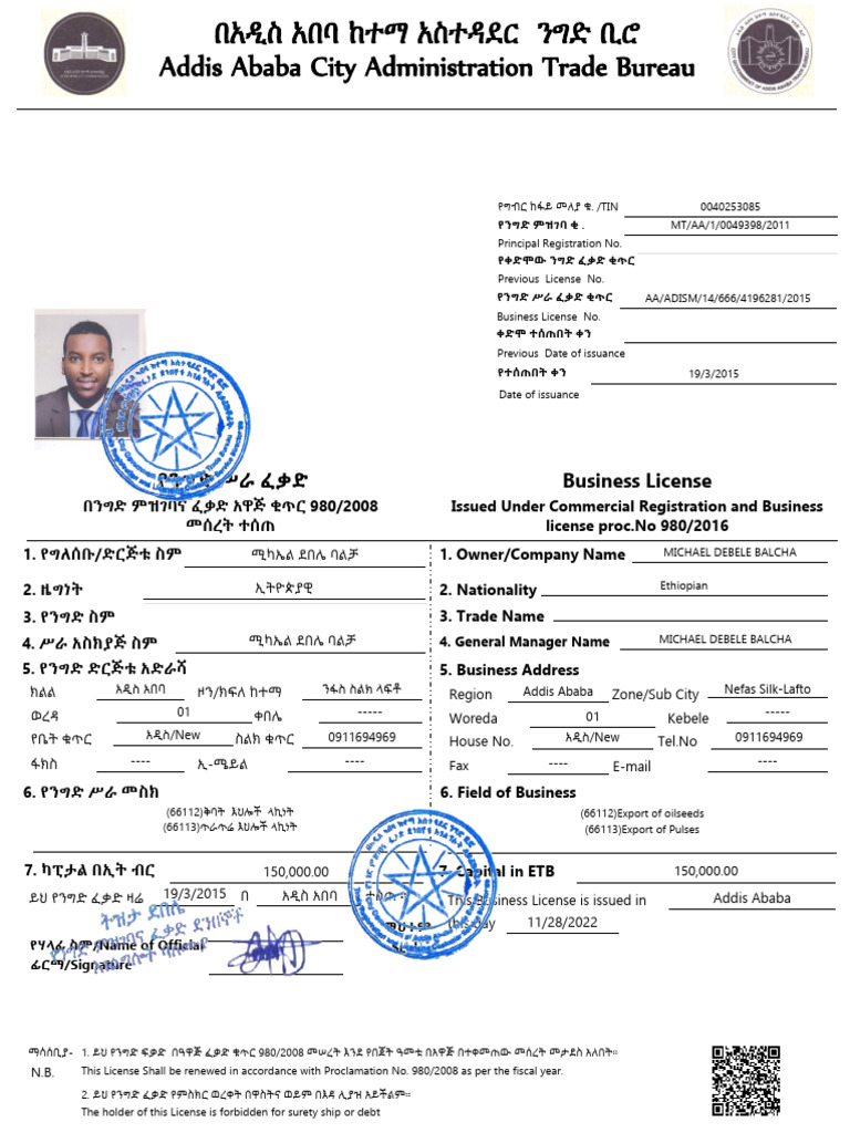 Business License | PDF