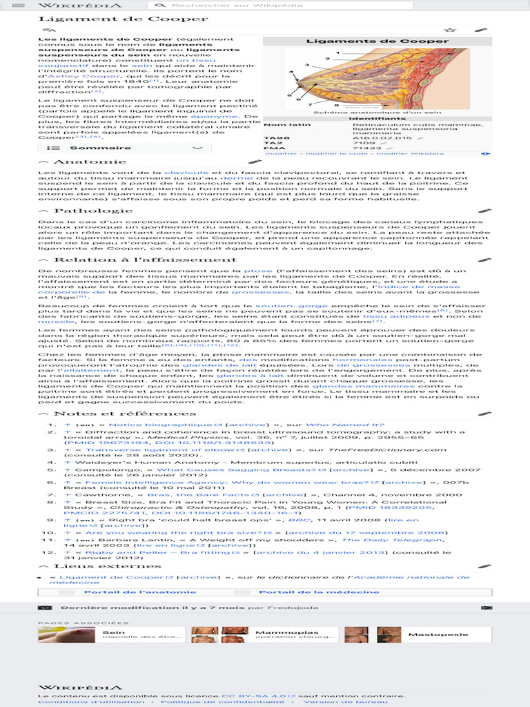 Ligament de Cooper — Wikipédia | PDF