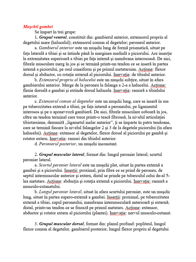 Muşchii Gambei | PDF