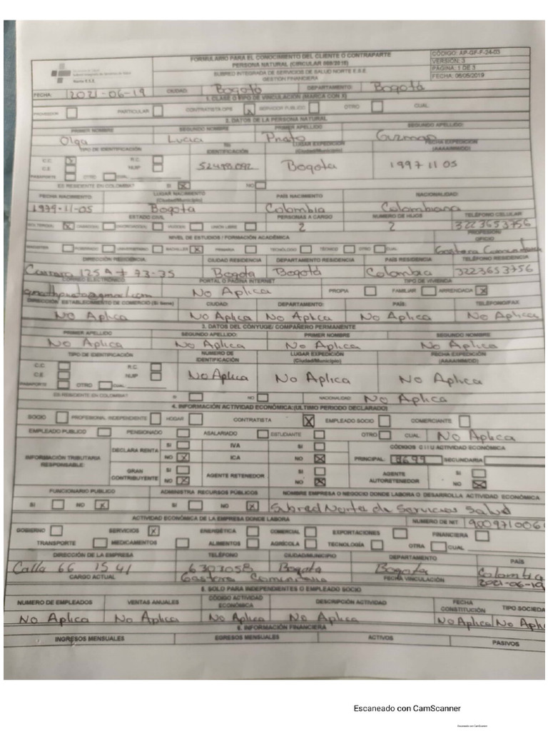 54 - Formato Sistema Sarlaf - 1 | PDF