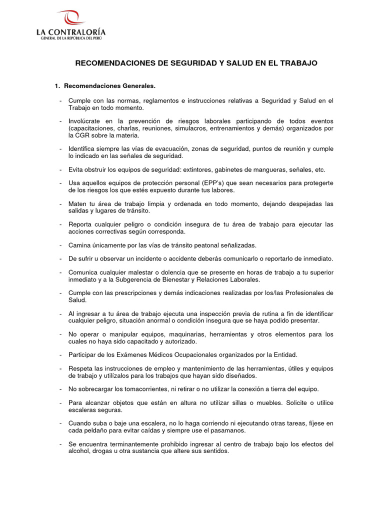 Recomendaciones de Seguridad y Salud en El Trabajo | PDF