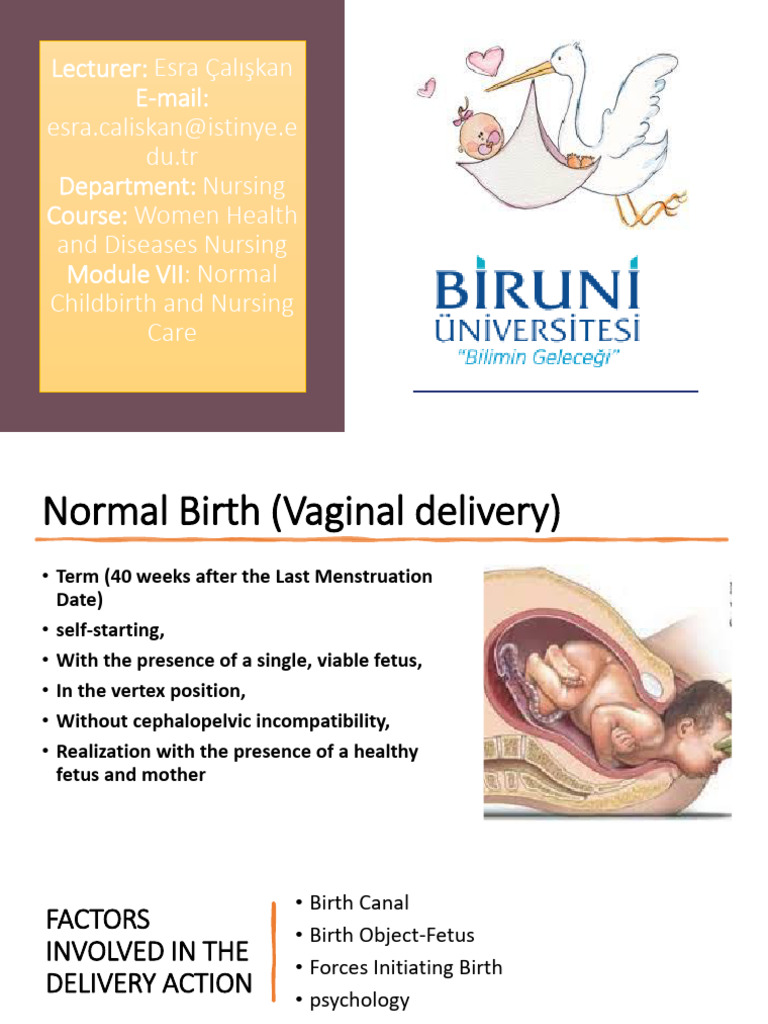7 Normal Childbirth and Nursing Care | PDF