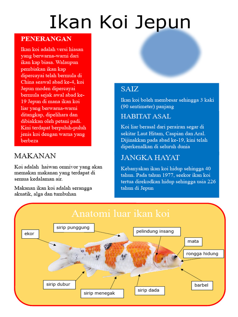 Ikan Koi | PDF