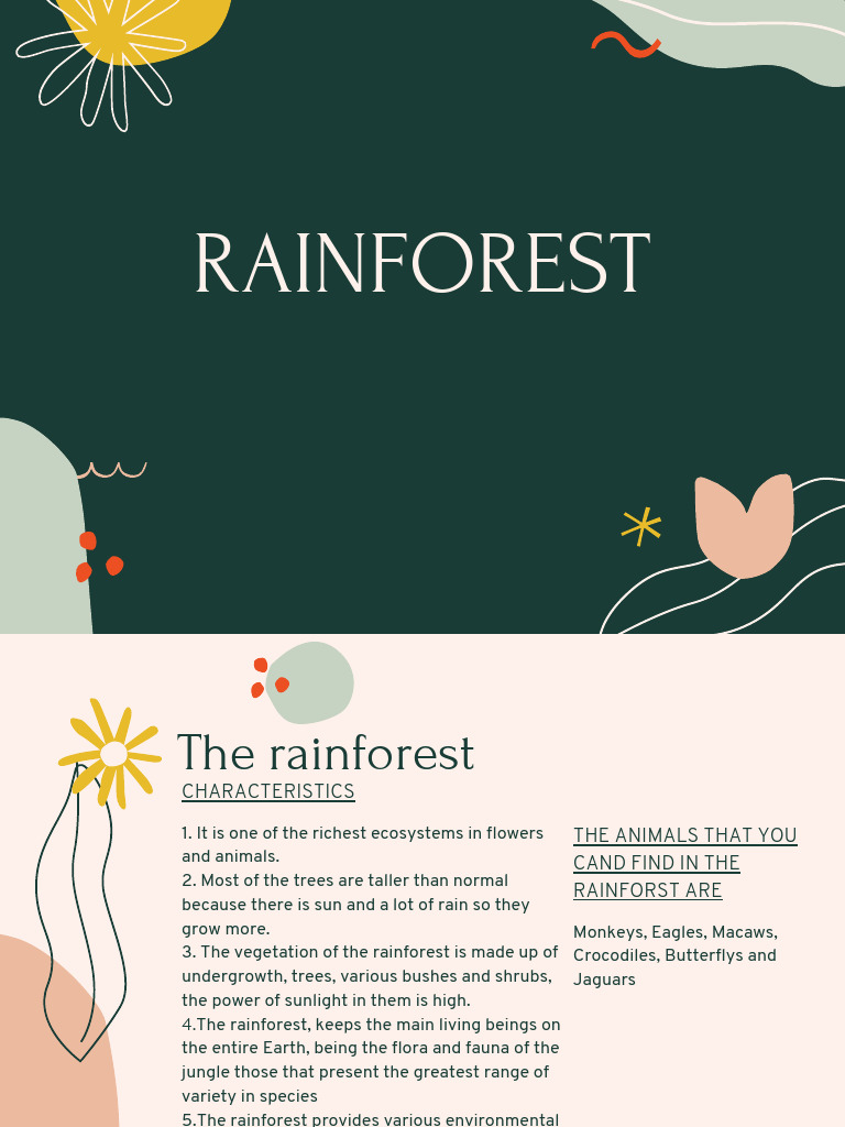 Rainforest Ecosystem Overview and Facts | PDF | Science & Mathematics ...