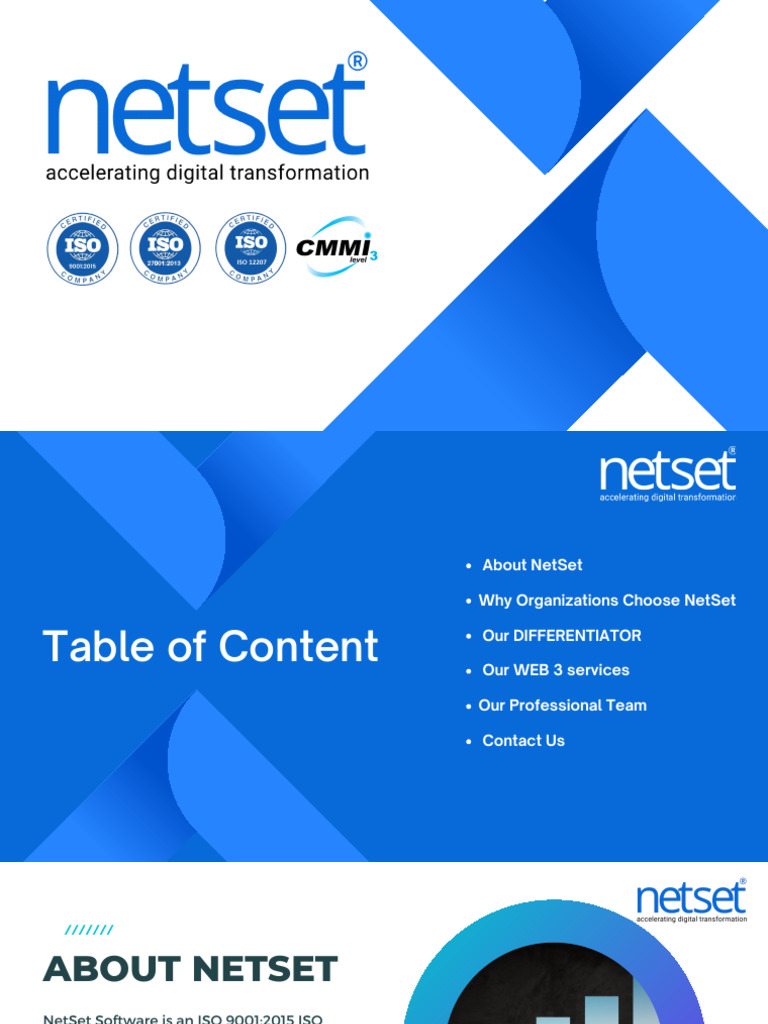NetSet's Web3.0 Capability V1.072023 | PDF