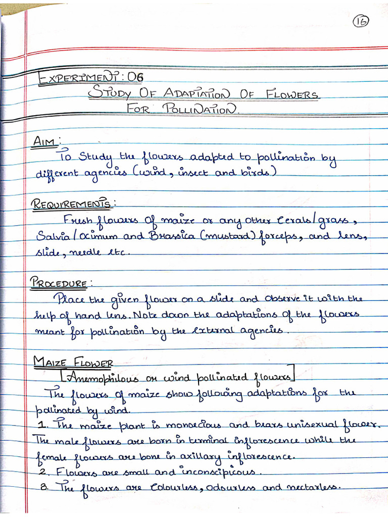 Expt 06 Study of Adaptation of Flowers For Pollination | PDF