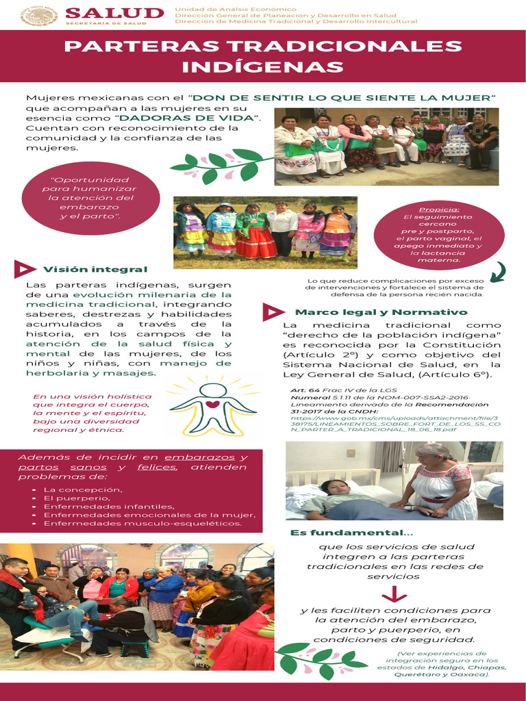 PARTERAS TRADICIONALES INDiGENAS 1 | PDF | Salud y bienestar