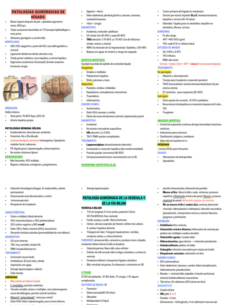 Guia Ciru 2o Parcial | PDF