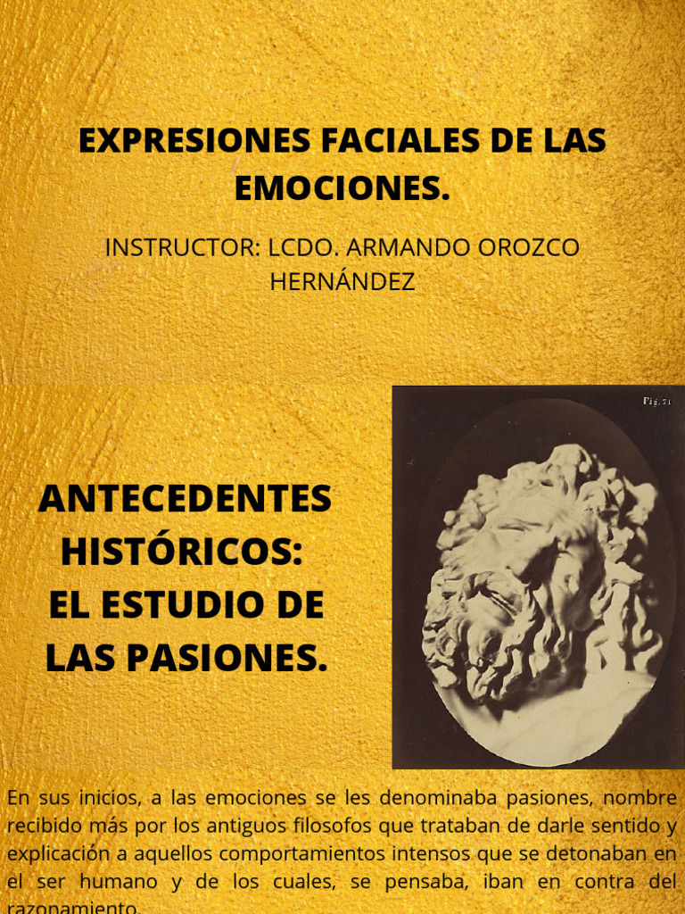 Curso Expresiones Faciales De Las Emociones Pdf
