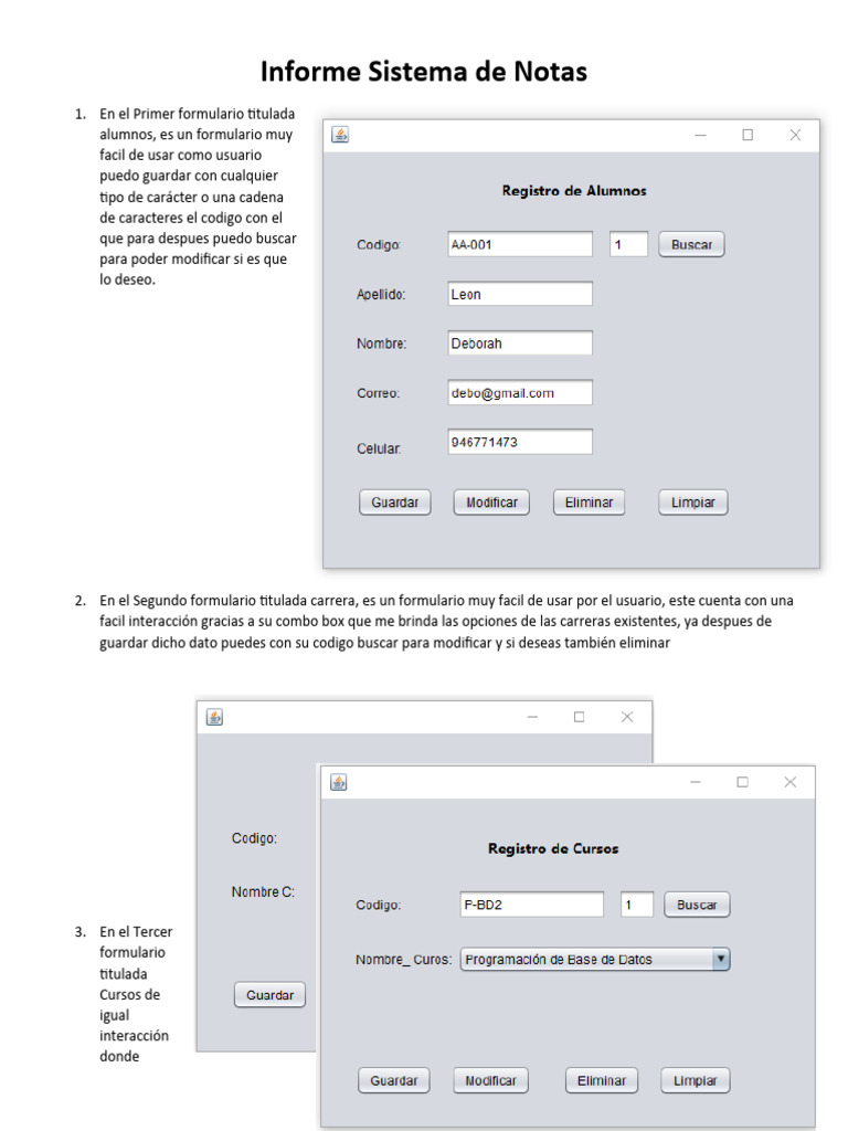 Informe Sistema de Notas | PDF