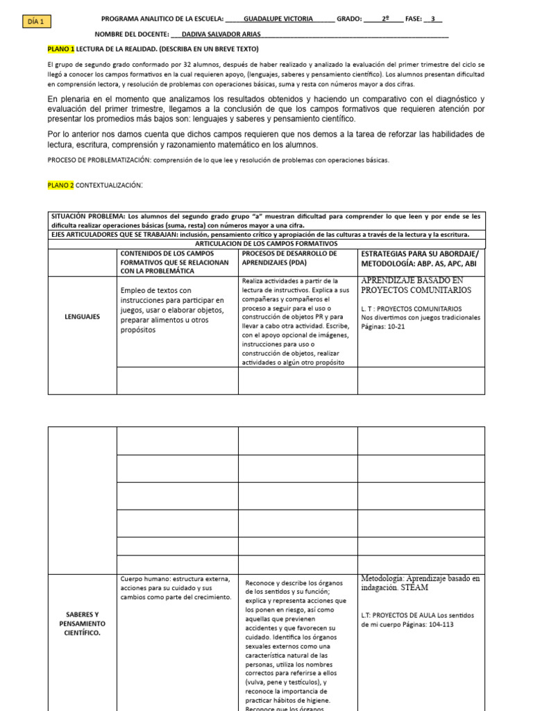 Programa Analitico Dadiva Modificado | PDF
