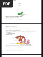 Frog Anatomy for Biology Students | PDF | Frog | Amphibian
