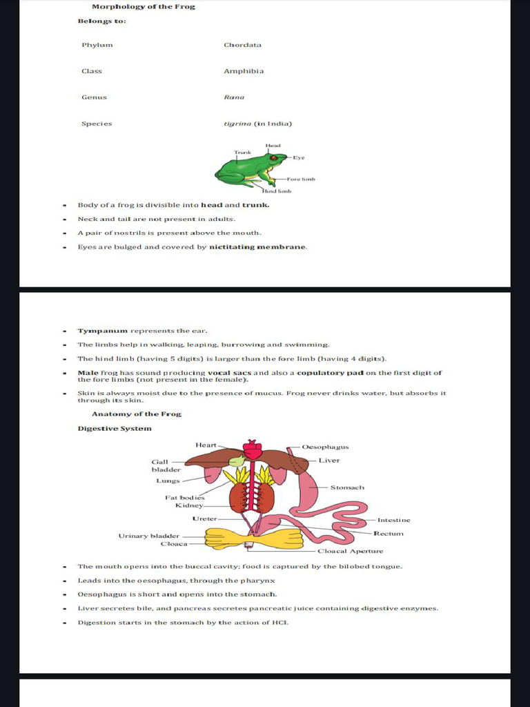 The Structural Organisation | PDF