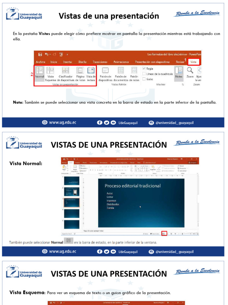2-Vistas de Presentación y Formatos | PDF