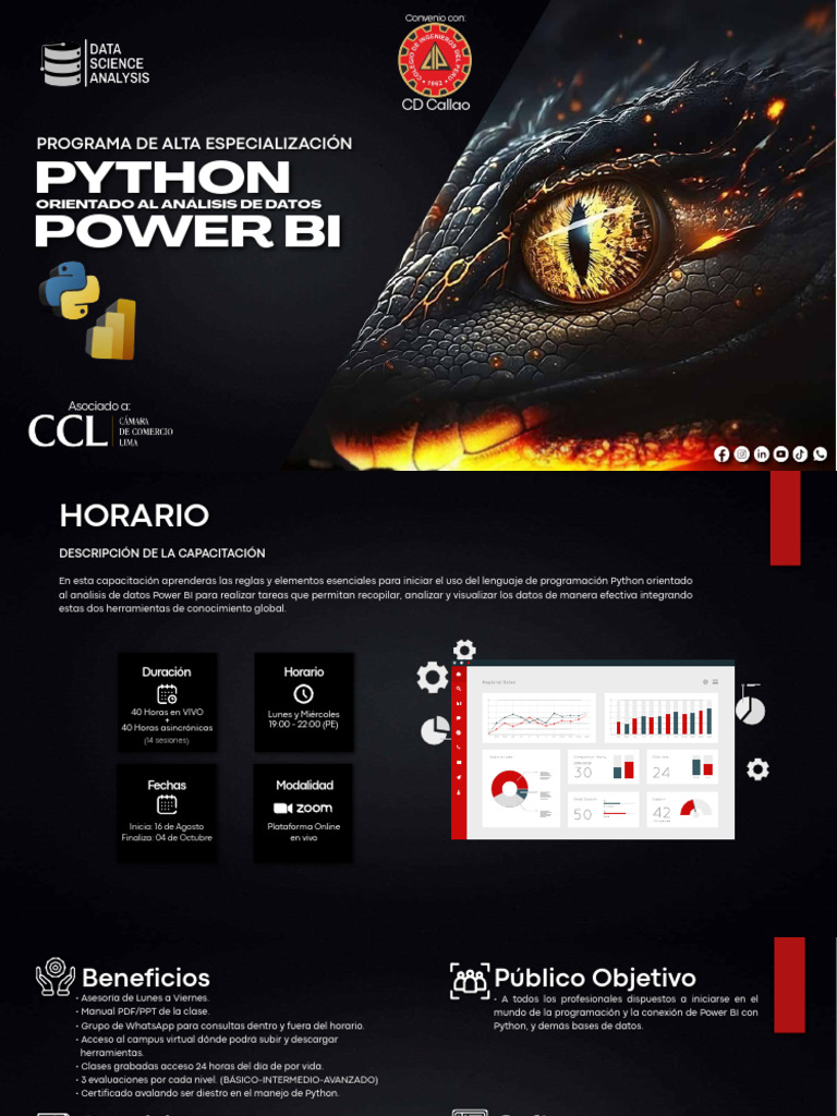 Brochure Python Orientado Al Análisis Power Bi | PDF