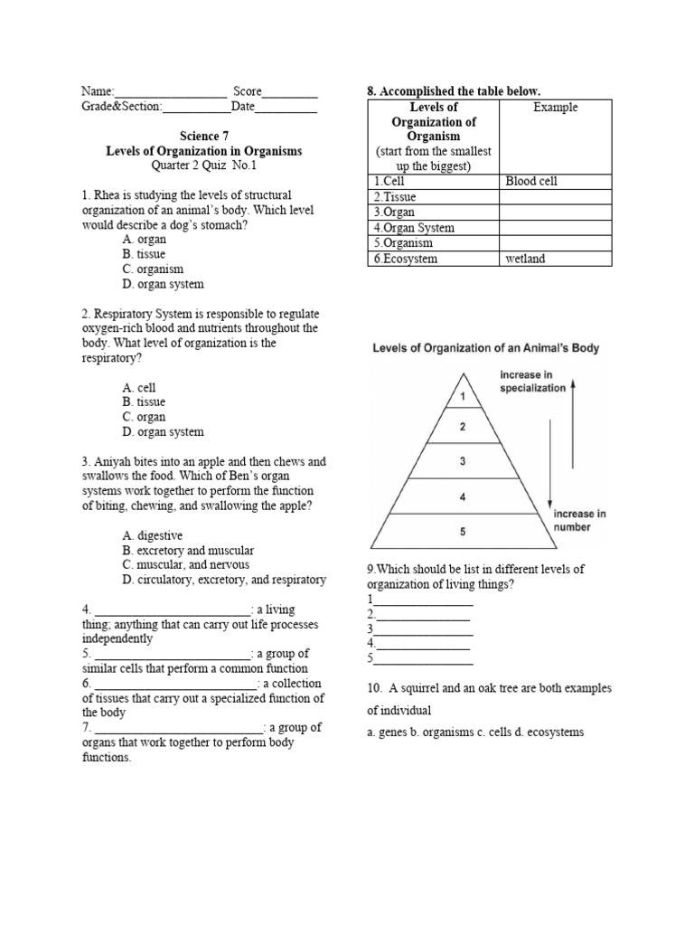 Levels of Organization (Multiple Choice) | PDF