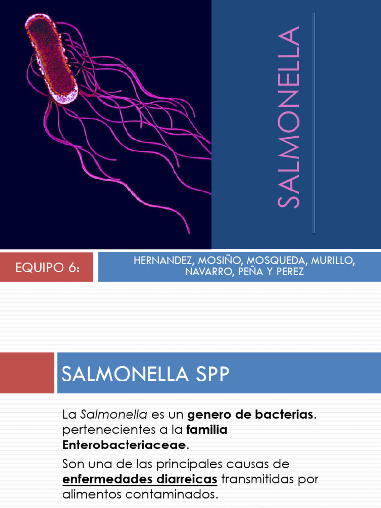 Salmonella | PDF