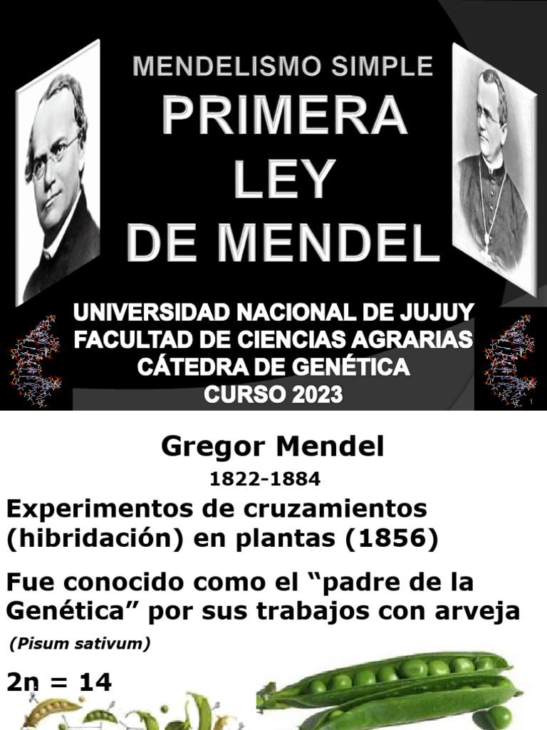 Primera Ley de Mendel | PDF