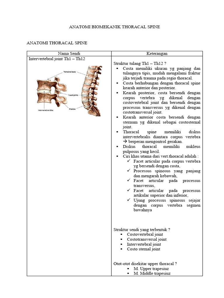 BIOMEKANIK_VERTEBRA_THORACAL_SPINE | PDF