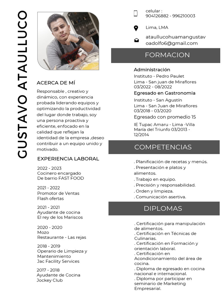 Curriculum Vitae Contador Profesional Gris | PDF
