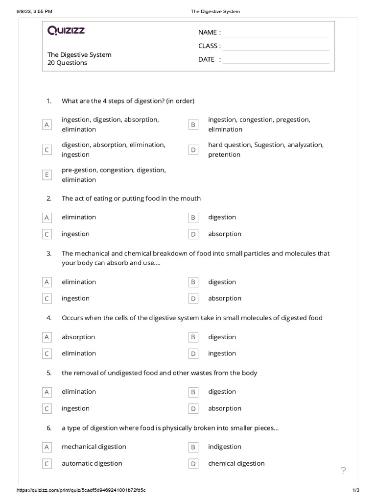 The Digestive System | PDF