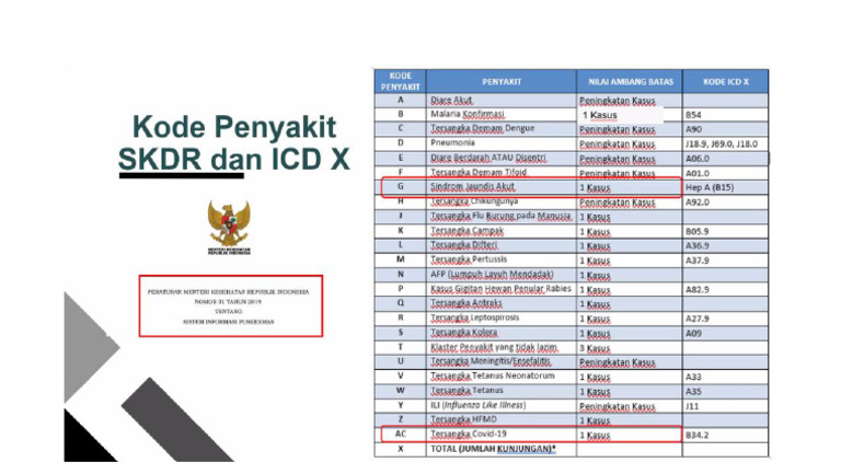 Kode ICD X SKDR | PDF