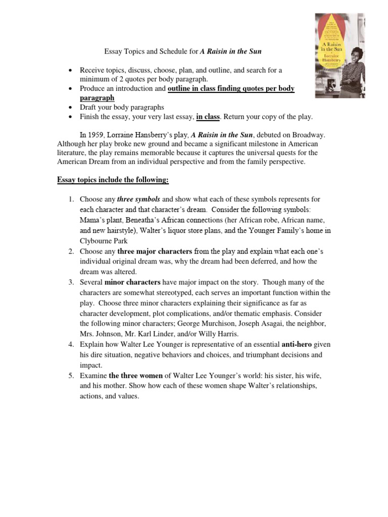 Essay A Raisin in The Sun | PDF
