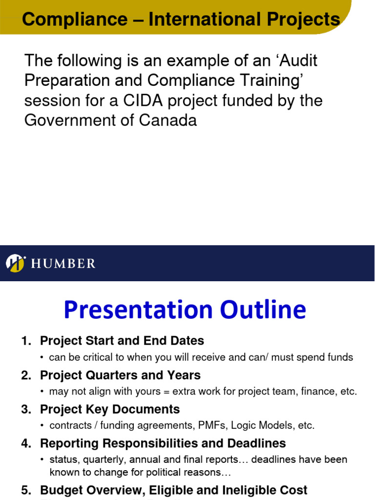 Public Sector Project - International Development | PDF