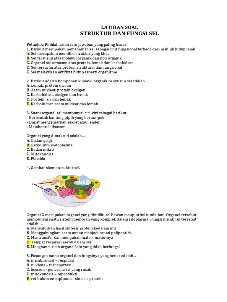 Latihan Soal Struktur Dan Fungsi Sel | PDF