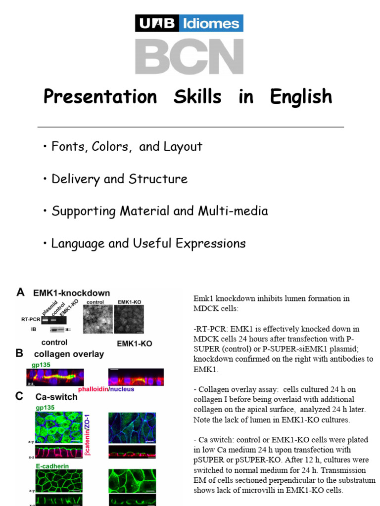 17. Presentation | PDF