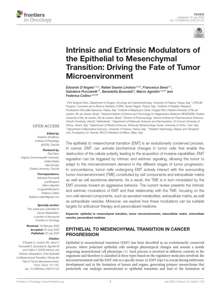 Intrinsic and Extrinsic Modulators of The Epithelial To Mesenchymal Transition: Driving The Fate ...