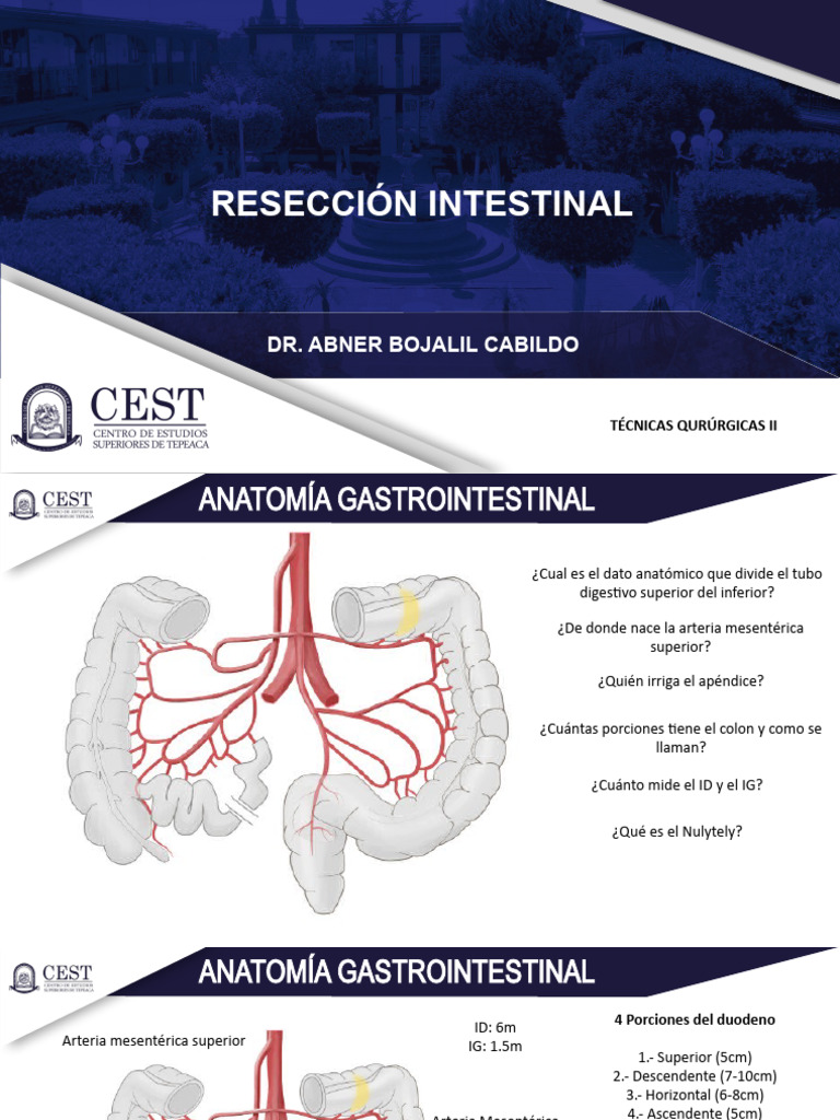 Resección Intestinal | PDF