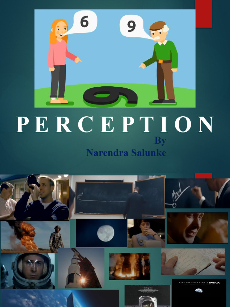 Perception | PDF