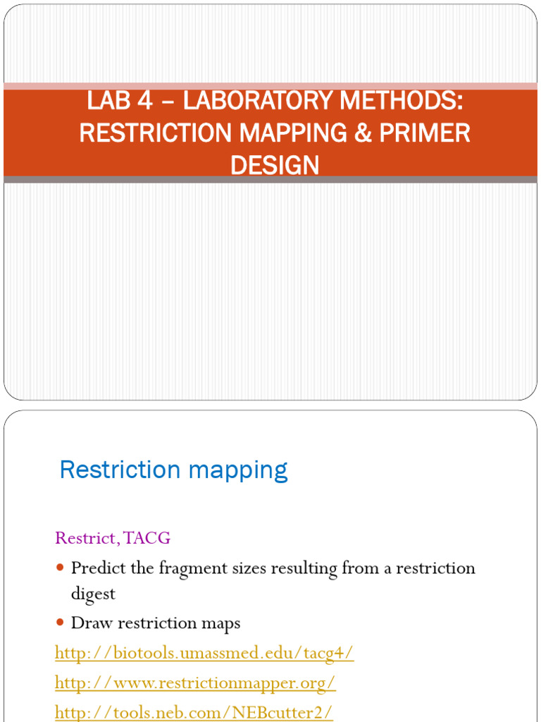 LAB 4 -Lab method | PDF