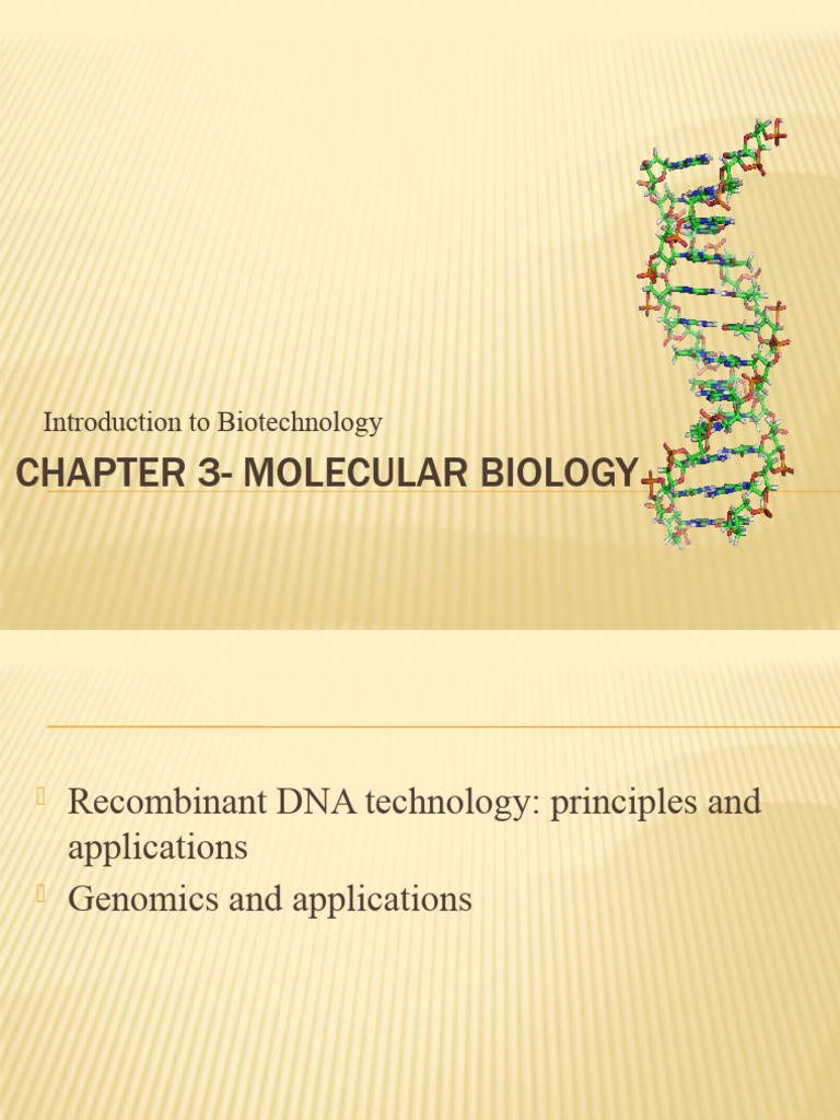 IB Chapter 3 - Molecular Biology | PDF