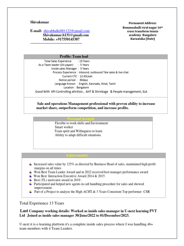 Experienced Sales Team Leader Profile | PDF