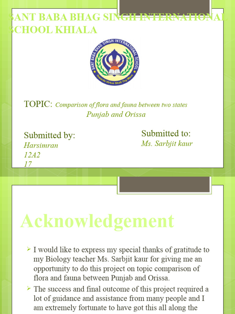 Art Integrated Project of Biology | PDF | Home & Garden