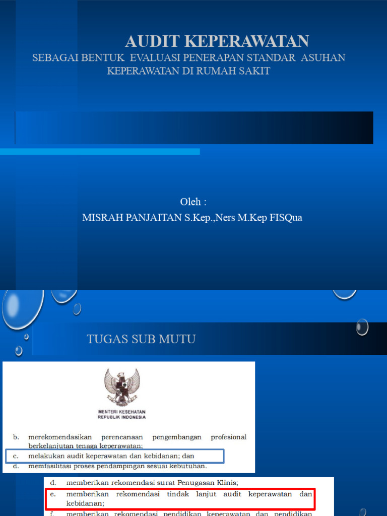 Audit Keperawatan | PDF