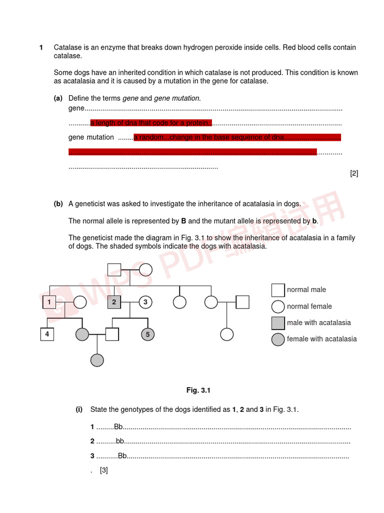 Inheritance of Acatalasia and Flower Color in Dogs and Carnations | PDF