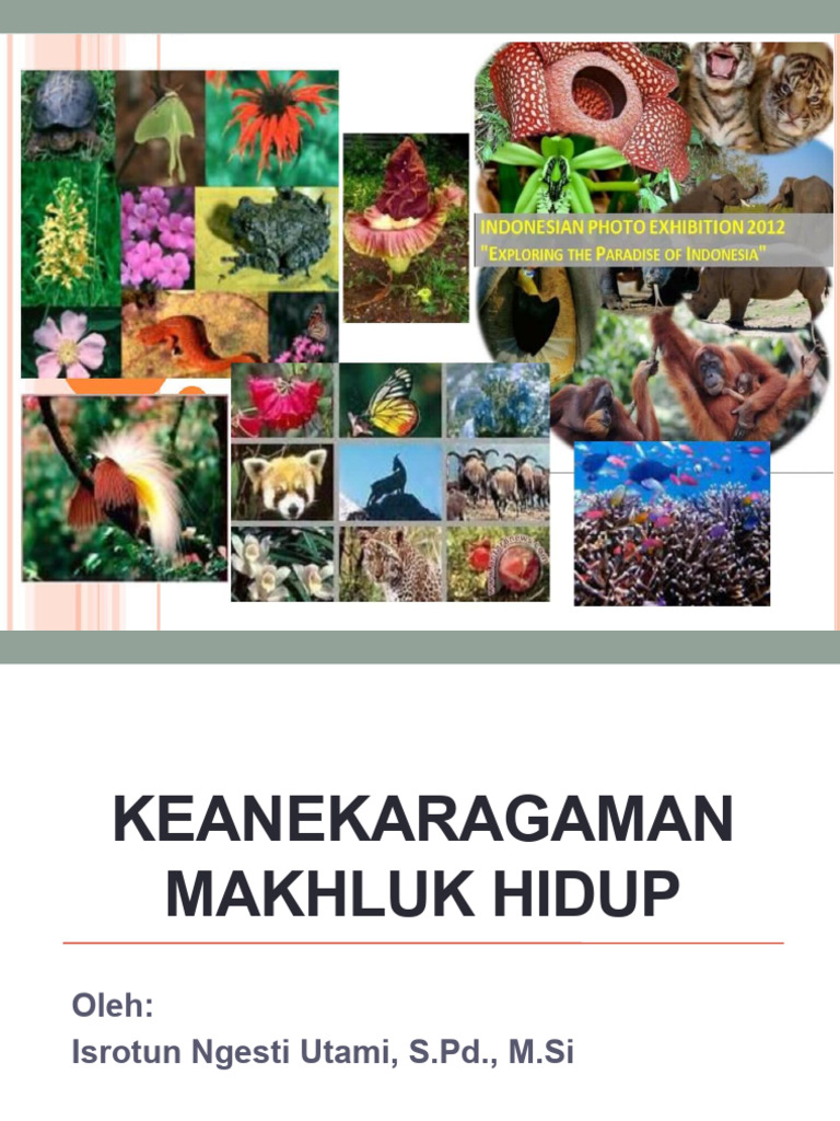 Keanekaragaman Makhluk Hidup | PDF