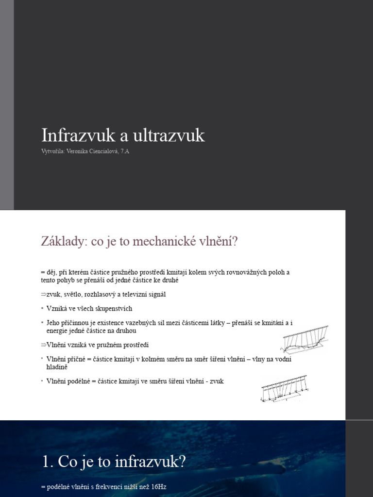 Infrazvuk A Ultrazvuk | PDF