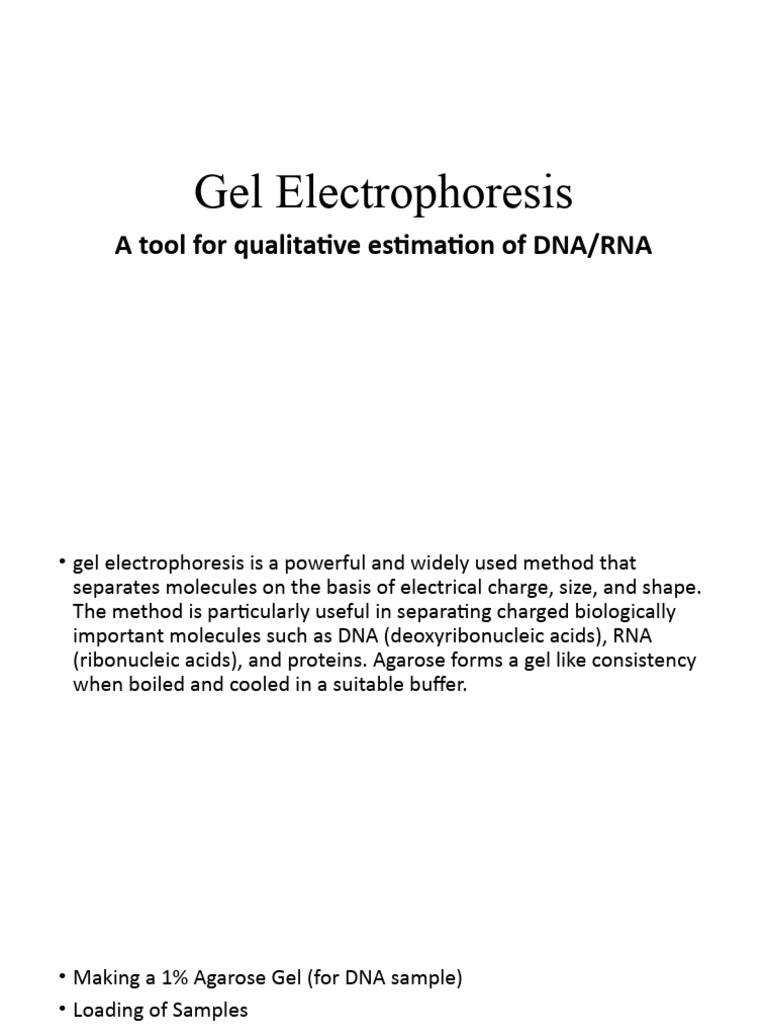 Gel Electrophoresis Guide | PDF | Science & Mathematics