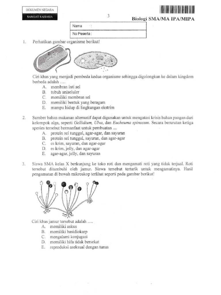Latihan Soal Biologi | PDF