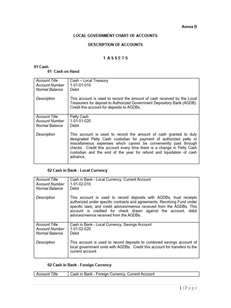 CHART OF ACCTS Descriptions | PDF